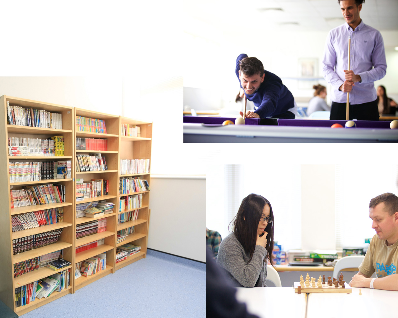 staff and facility 01 - Bridging Studies